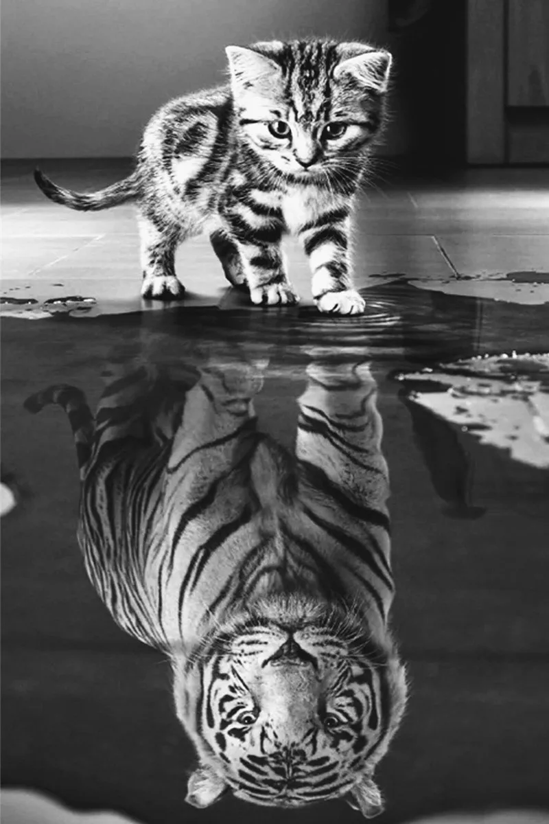 Reflection Mirror Animal