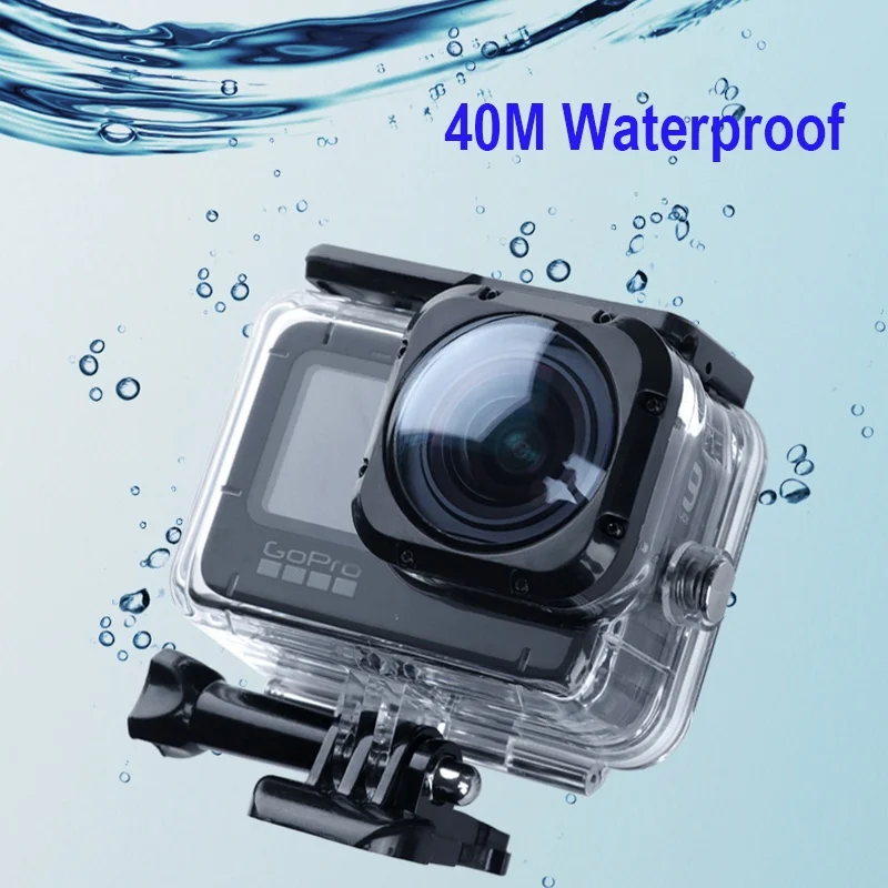 Gopro Underwater Fish