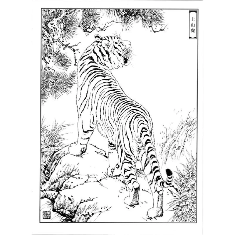 Chinese Tiger Line Drawing