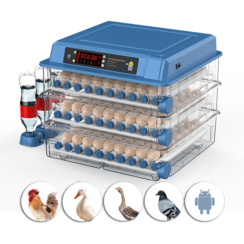 Intelligent Egg Incubator 6/9/12/15/24/36/48/56/64/98/120/128/152/176 ...