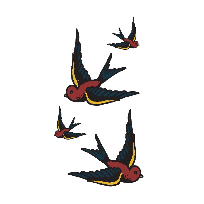 Traditional Swallow Flash