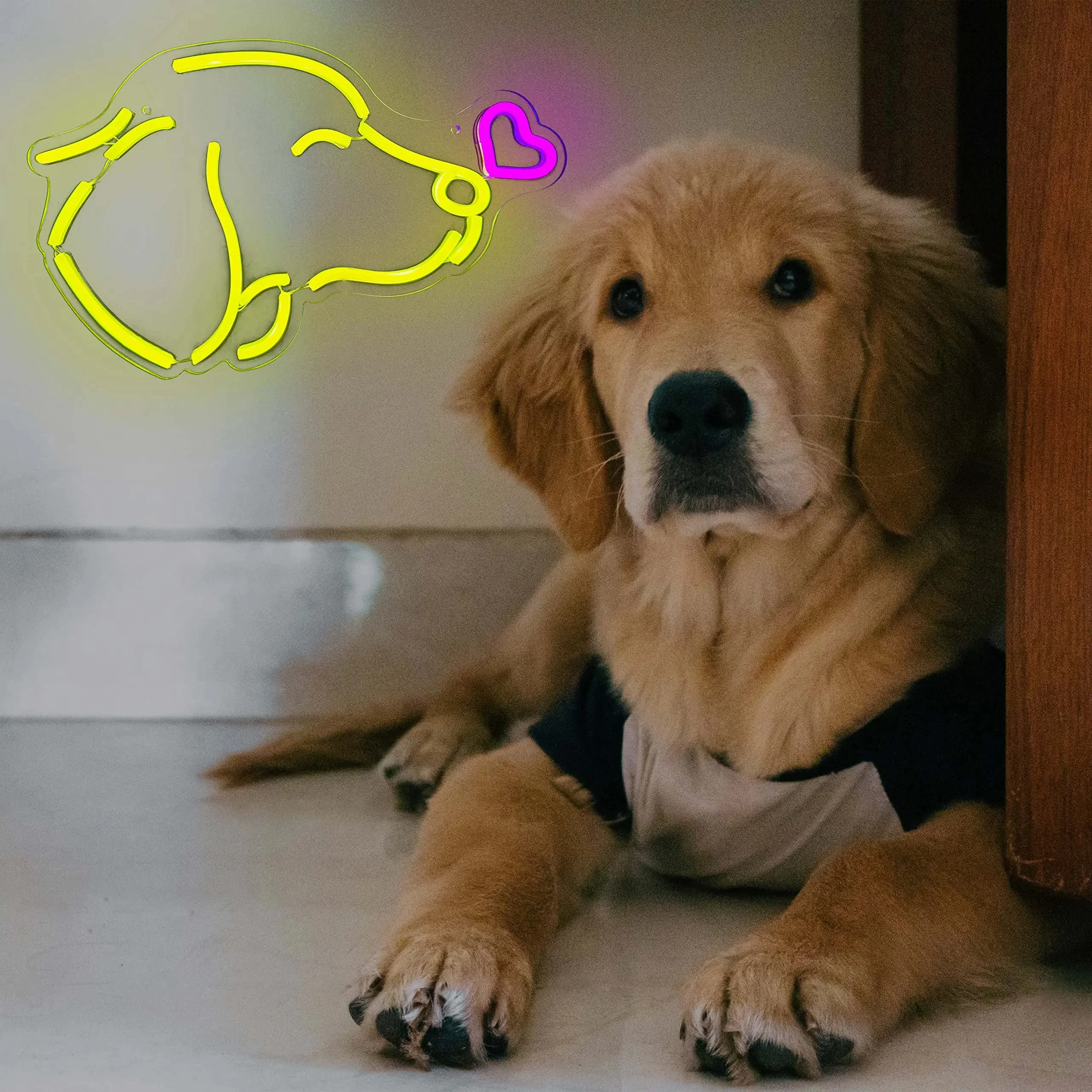 Golden Retriever Neon Sign Decor - wigglelove