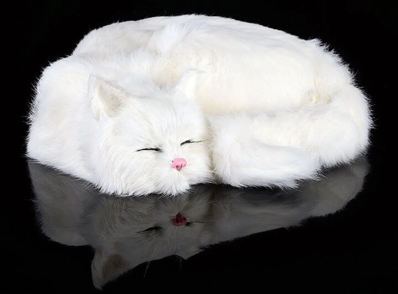 big-simulation-sleeping-cat-model-plastic-fur-white-cat-toys-home ...