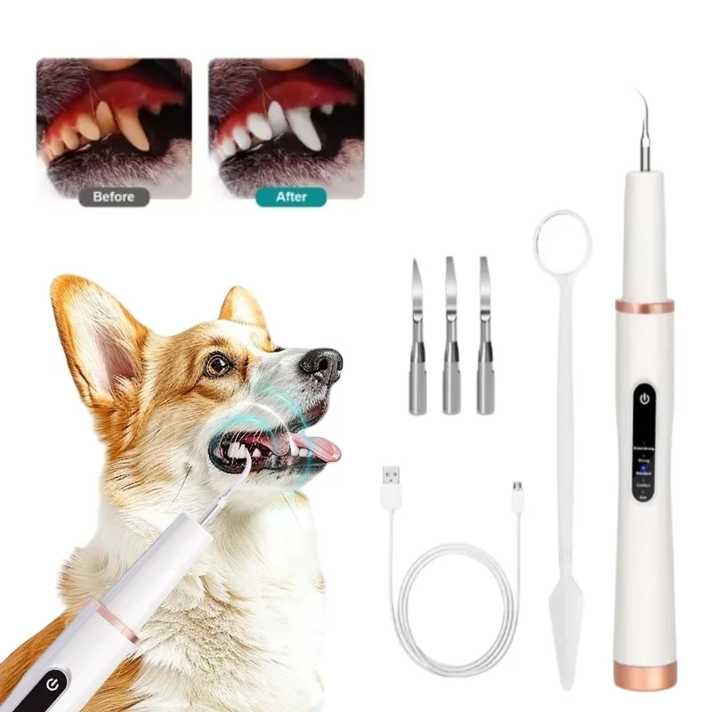 Dog Cat Grooming Smart Dental Ultrasonic Scaler Household Tooth Stone ...