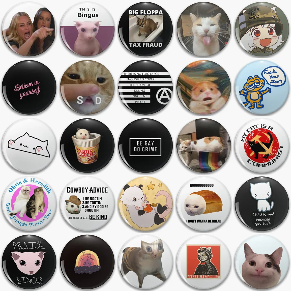 Funny Sad Cat Memes as Profile Photos? Here's How This Brooch Changed ...