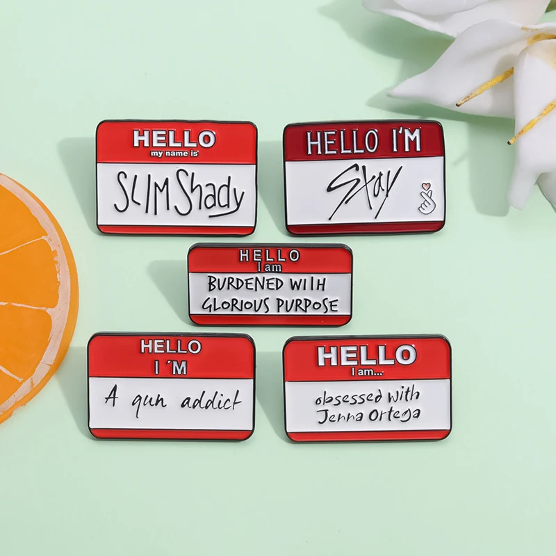 Interesting-Dialogs-Hello-I-Am-Enamel-Pins-Funny-Proverb-Brooch-Lapel ...
