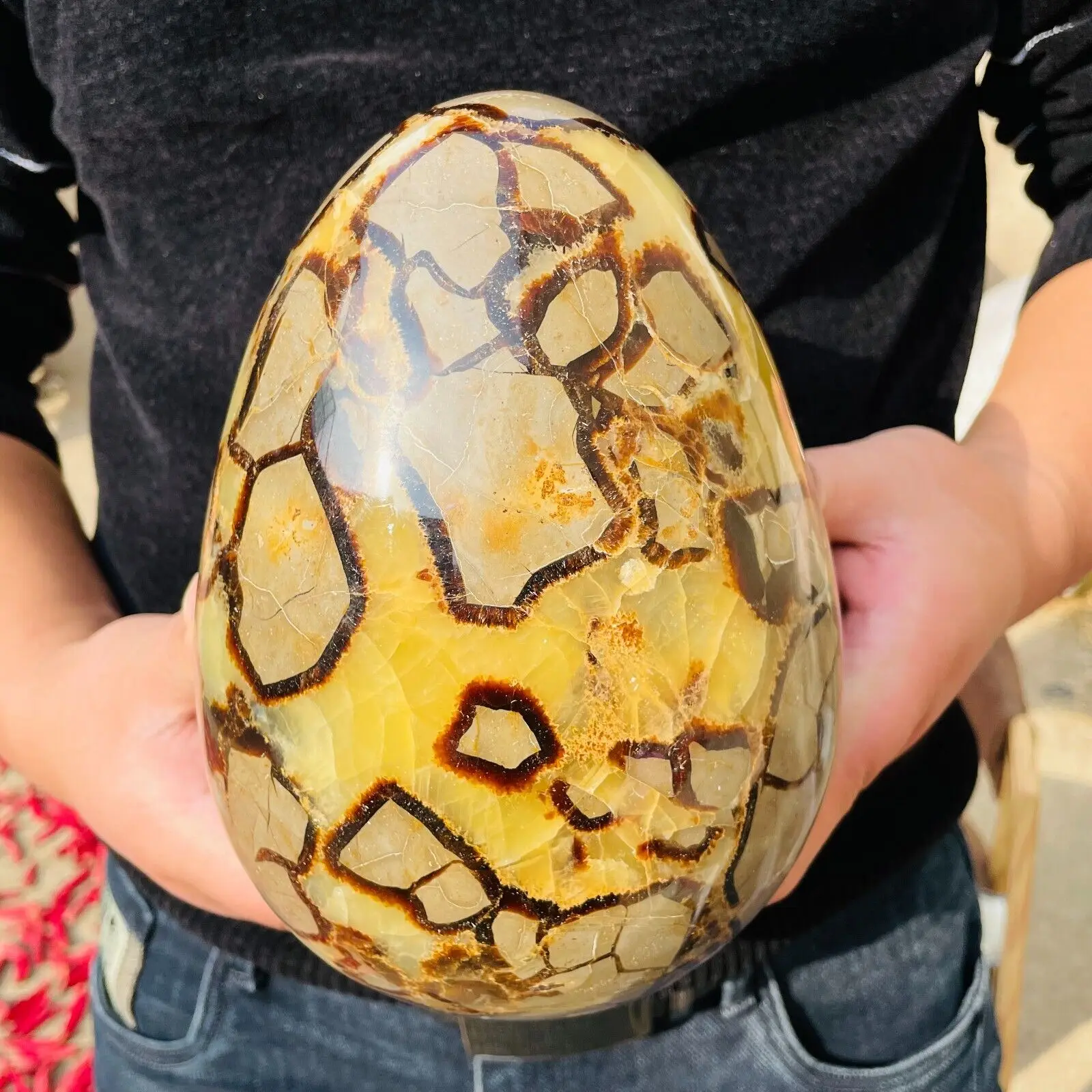 Huge-Natural-Turtle-Back-Stone-Carving-Dinosaur-Eggs-Quartz-Crystal ...