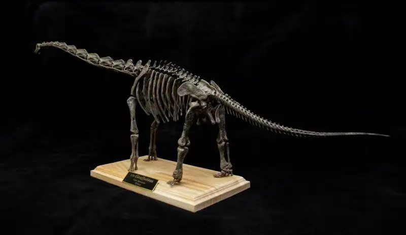 Apatosaurus Skeleton Model