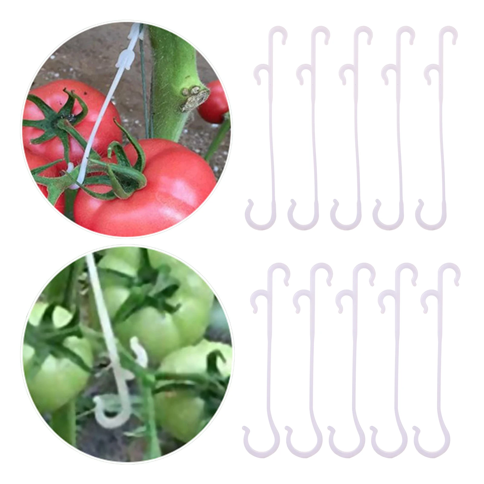 13-16cm-Tomato-Support-J-Shaped-Ear-Hook-Clip-Garden-Vegetable-Grape ...