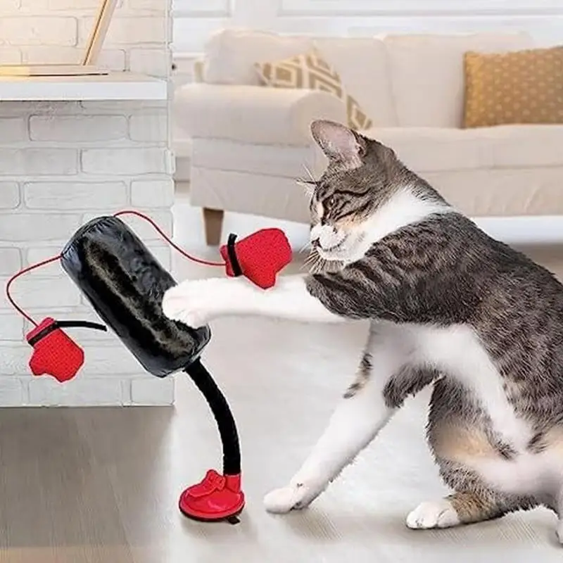 Portable Cat Punching Bag Toy Interactive Indoor Cats Kitten Toy With ...
