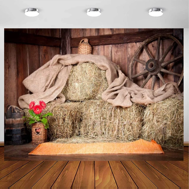 Rustic Barn Background