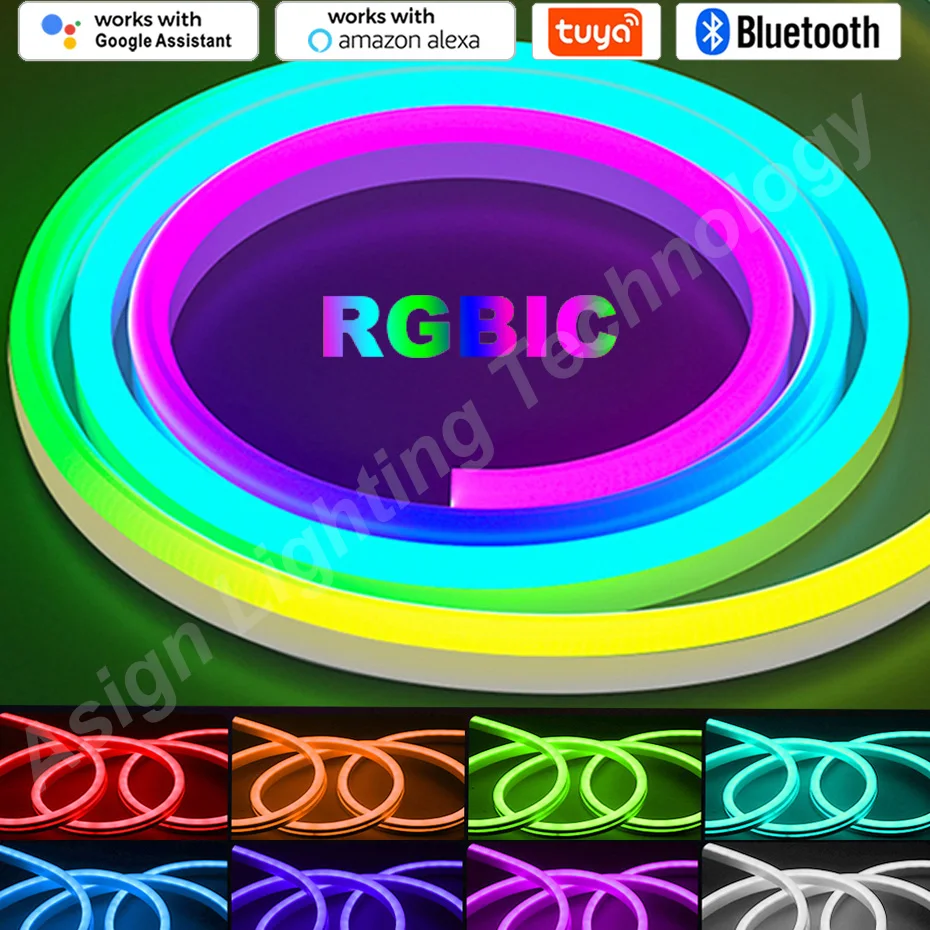 RGBIC LED Neon Strip 12V 96LEDs/M Remote/Bluetooth/WiFi Tuya APP Smart ...