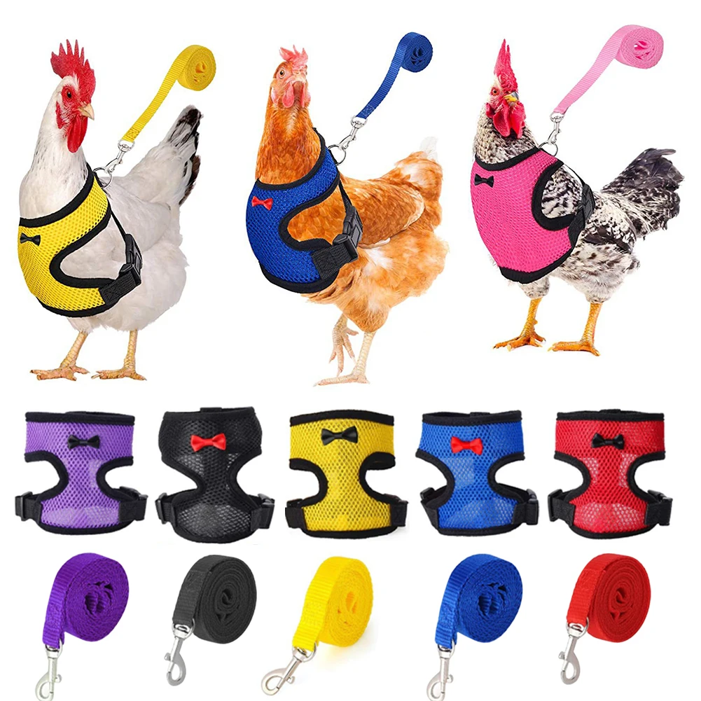 Arn-s-ajustable-para-mascotas-correa-para-pollo-y-cachorro-c-modo ...