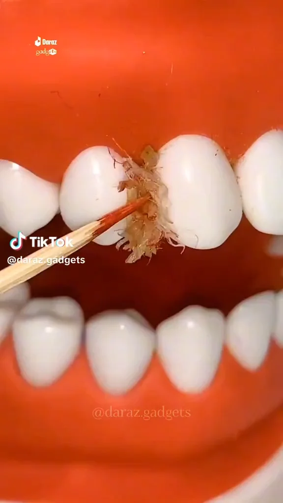 30/60/90 Pcs Dental Floss Sticks & Tooth Picks Teeth Plaque Remover ...