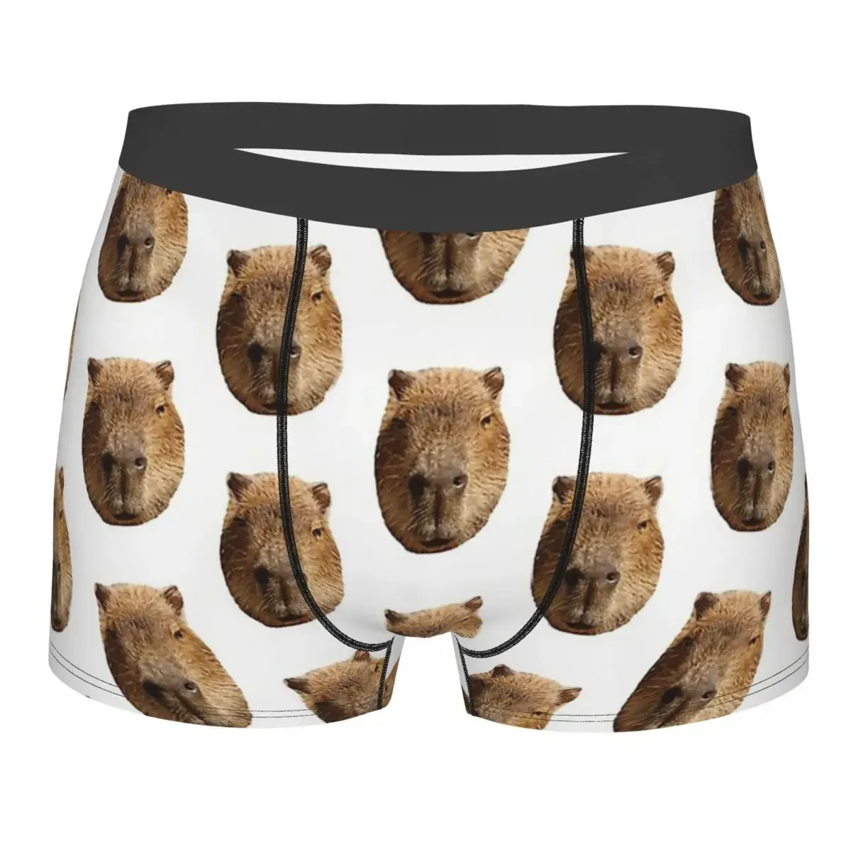 Male-Capybara-Face-Capybara-Hydrochoerus-Hydrochaeris-Animal-Underpants ...