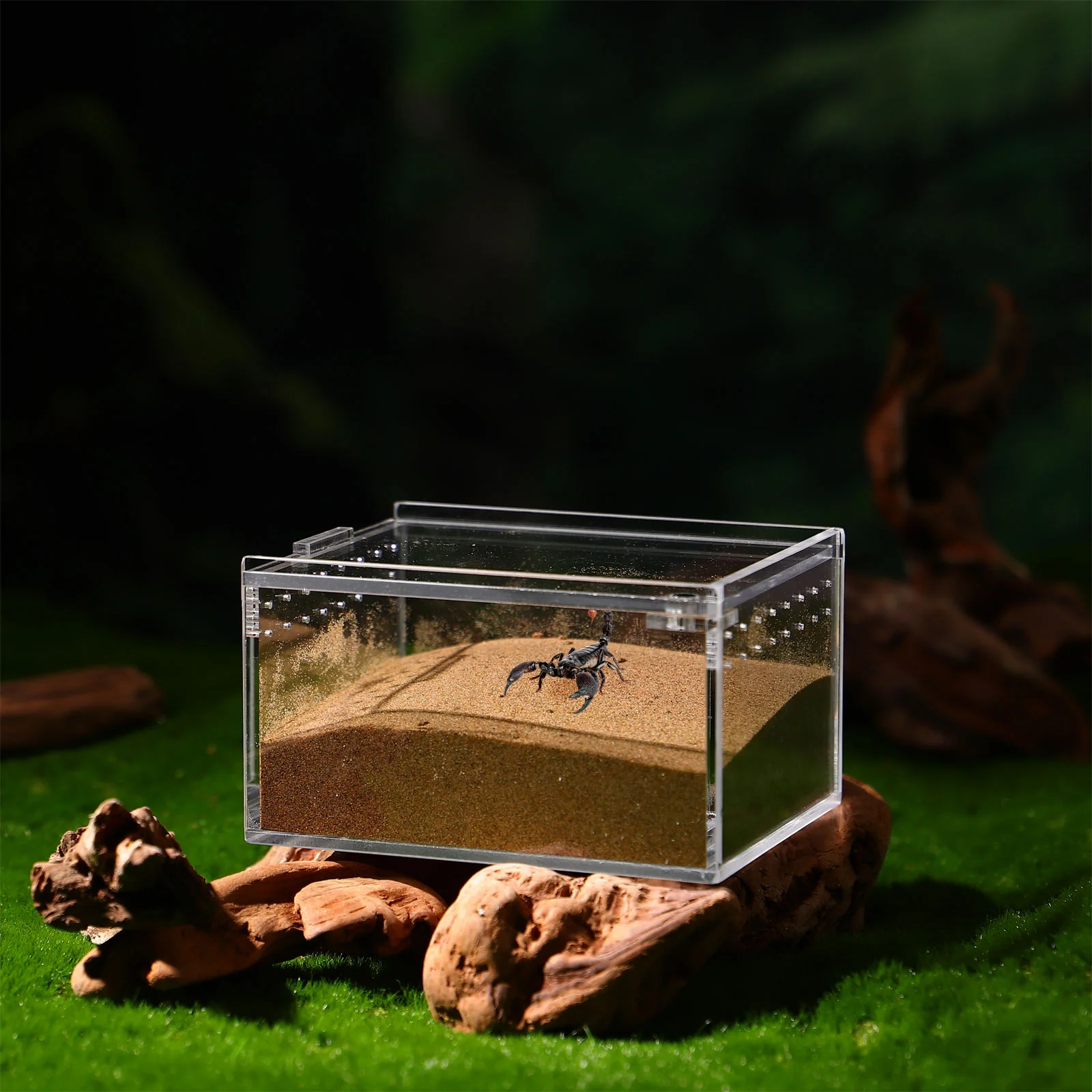Mini-Terrarium-Container-Acrylic-Crawling-Pet-Box-Spider-Scorpion ...