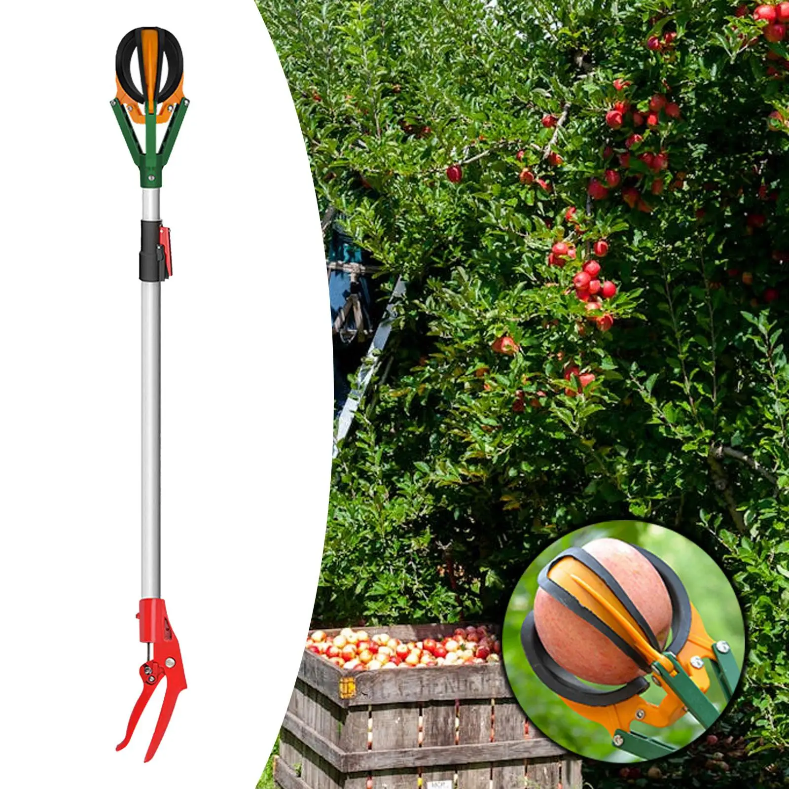 Lightweight-Fruit-Picker-Extens-vel-Rod-Acess-rios-Ferramentas-de ...