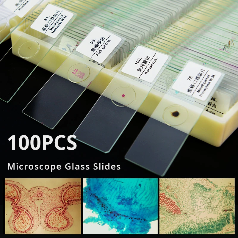 Biological 100pcs Prepared Glass Slice Microscope Slides Educational ...