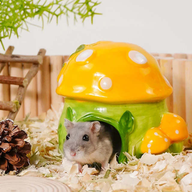 Cool Hamster House