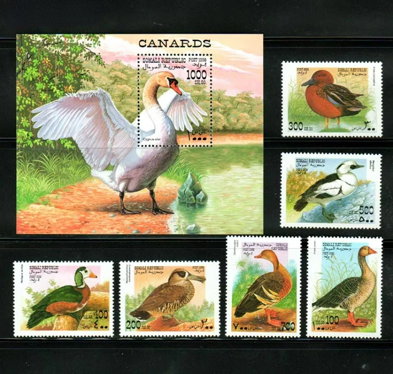 6-PCS-1-Somalia-1998-Bird-Stamps-Real-Original-Post-Stamp-MNH.jpg