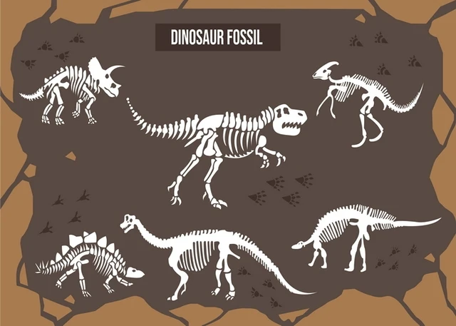 Dinosaur Bones Background