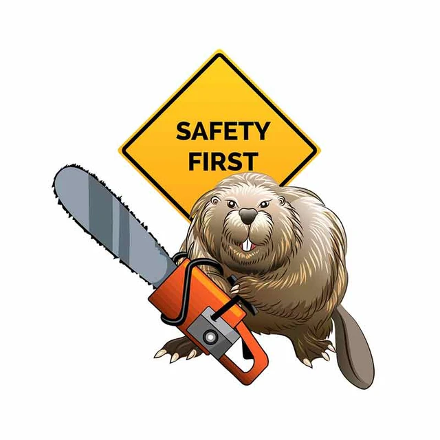 Funny Safety First Pictures