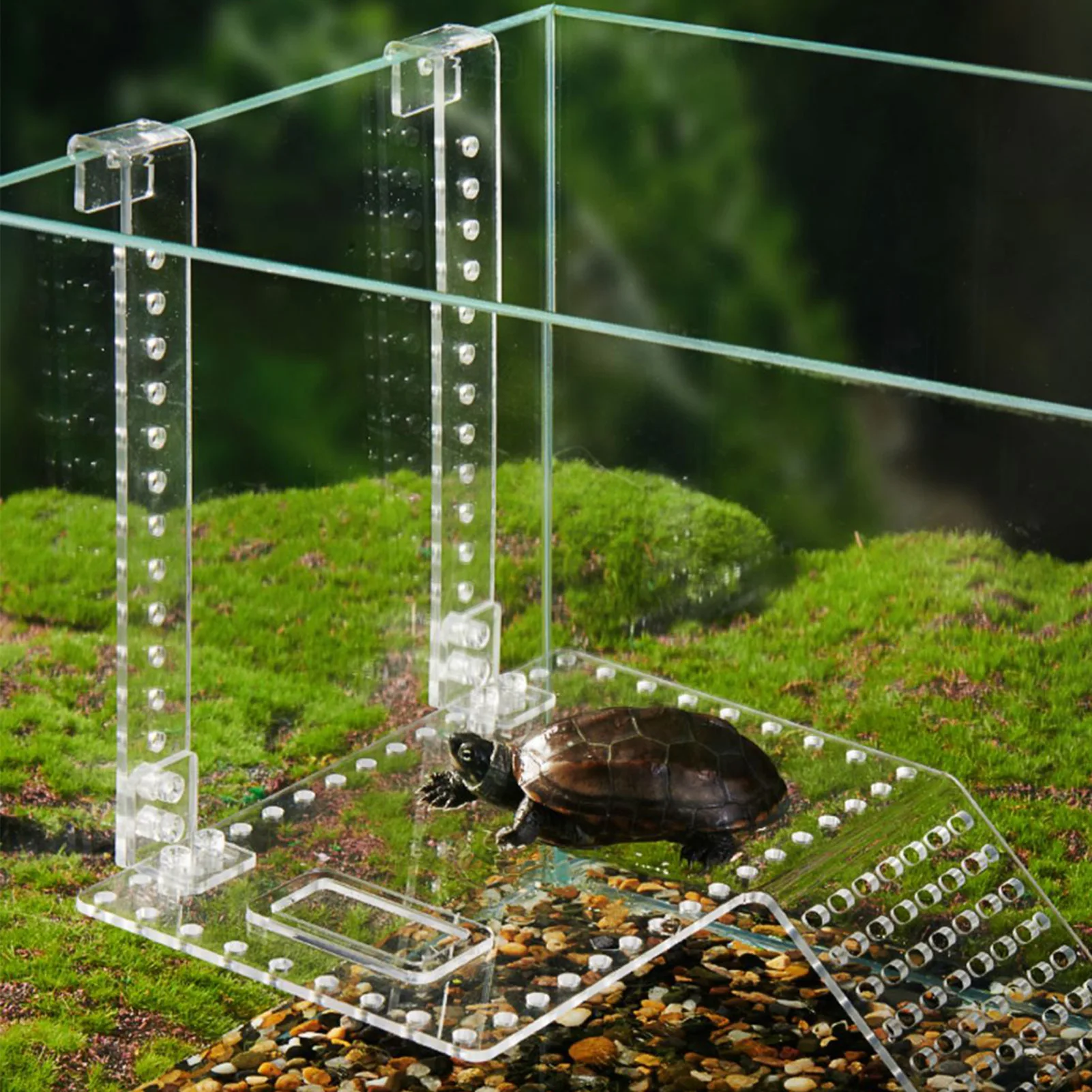 Hanging-Turtle-Basking-Platform-Transparent-Perforated-Climbing ...