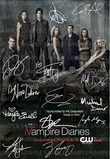 VAMPIRE DIARIES CAST SIGNED TV SHOW Art Print PVC Poster PP Glue ...