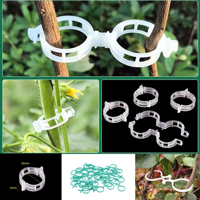 Garden-Plant-Fruit-Clip-Plastic-Binding-Vine-Binding-Branch-Clip ...