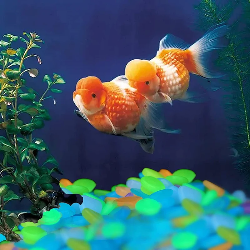 Glow In The Dark Fish Tank