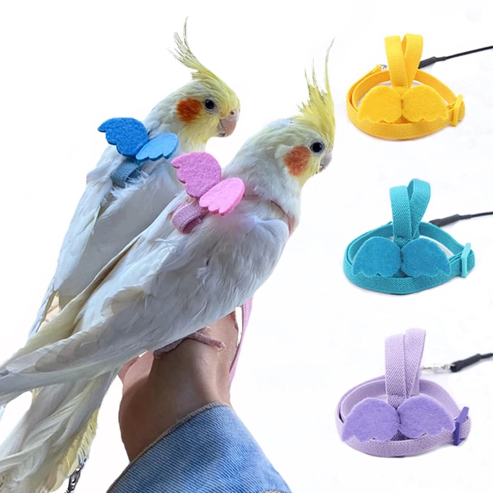Bird Harness And Leash
