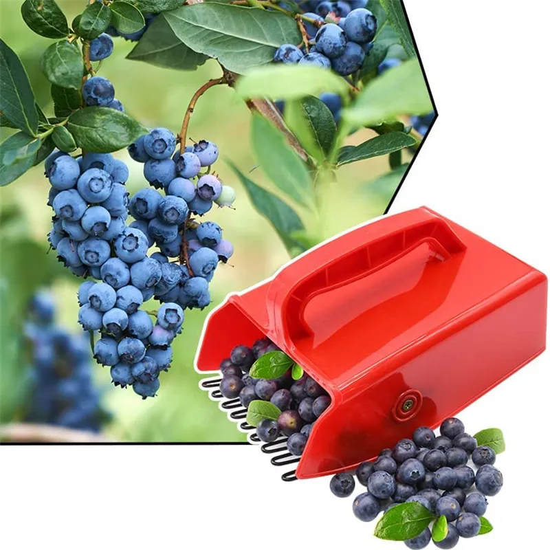 Berry Collecting Harvester | Blueberry Collection Scoop | Metal ...