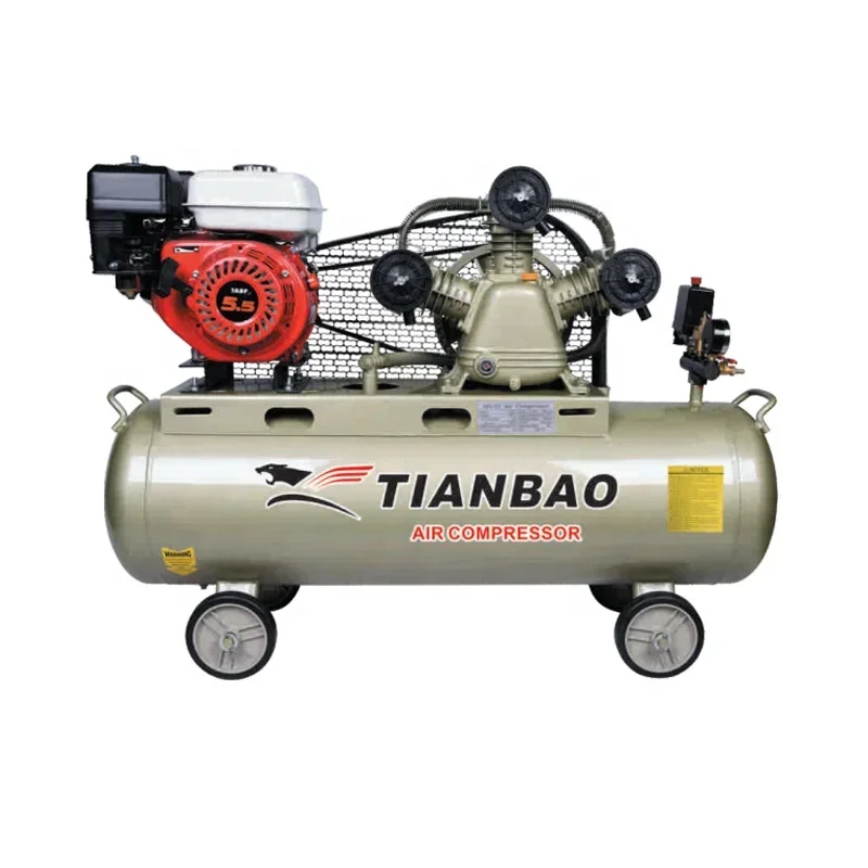 TIANBAO-W-0-36-8-GAS-6-5HP-KW-65-3MM-600r-min-275L-min-8BAR.jpg