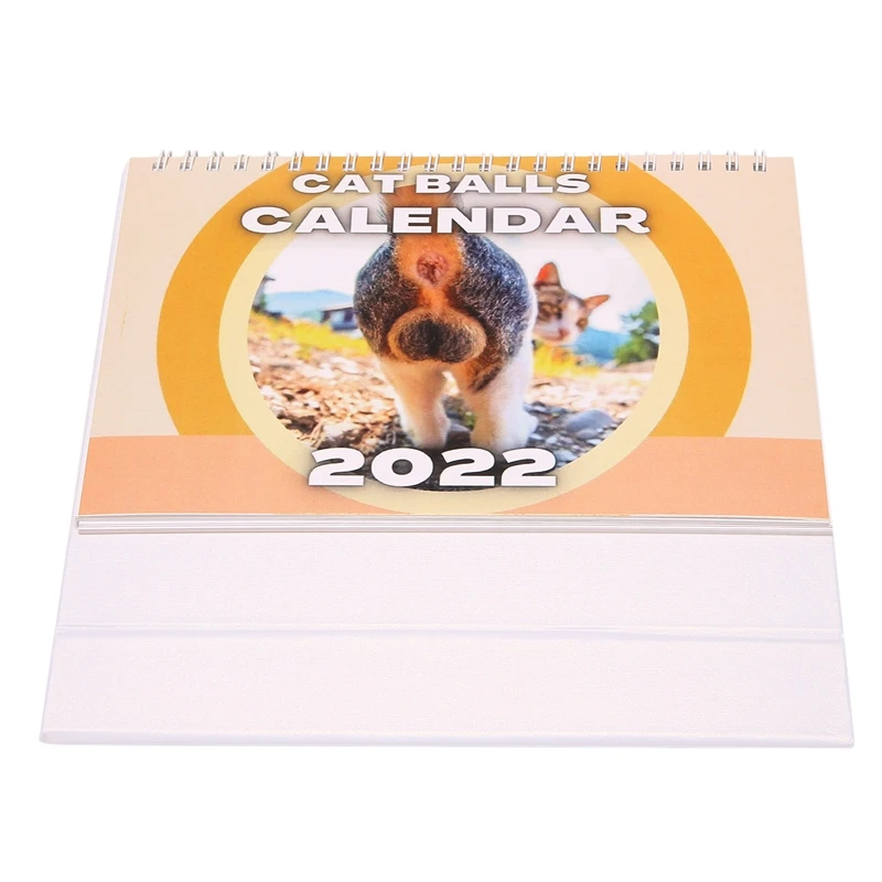 Cat Butt Desk Calendar Funny Animal Photo Calendar Joke Gifts for Cat ...