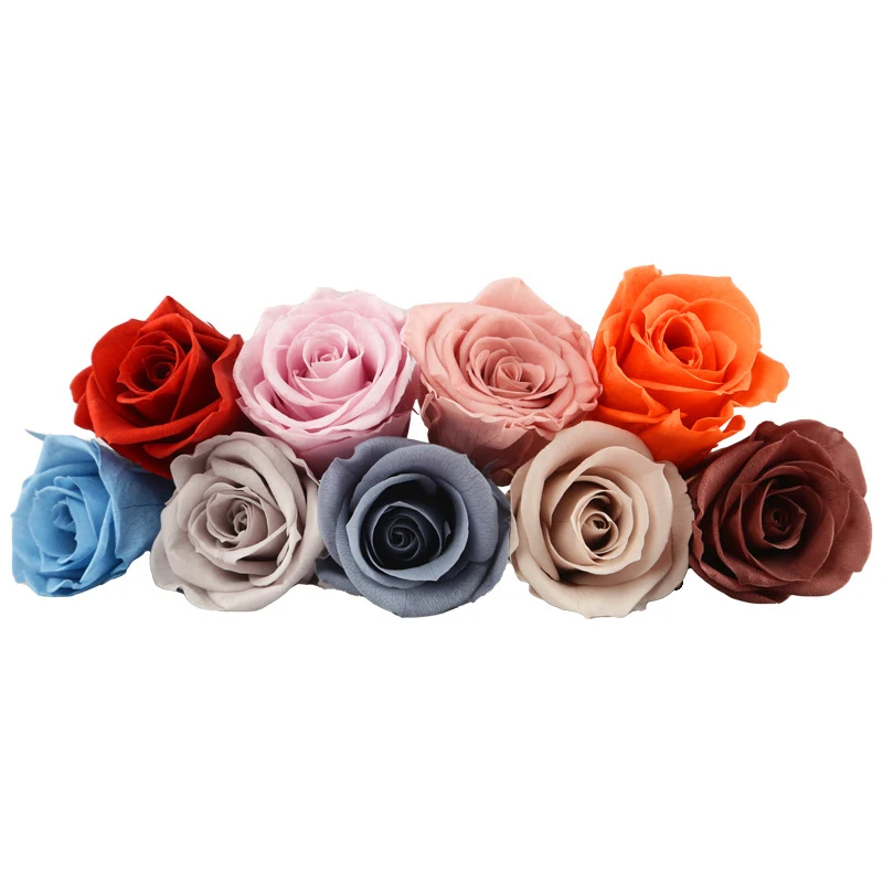 B-Grade-Multi-Size-Preserved-Natural-Rose-Head-Wedding-Party-Home ...