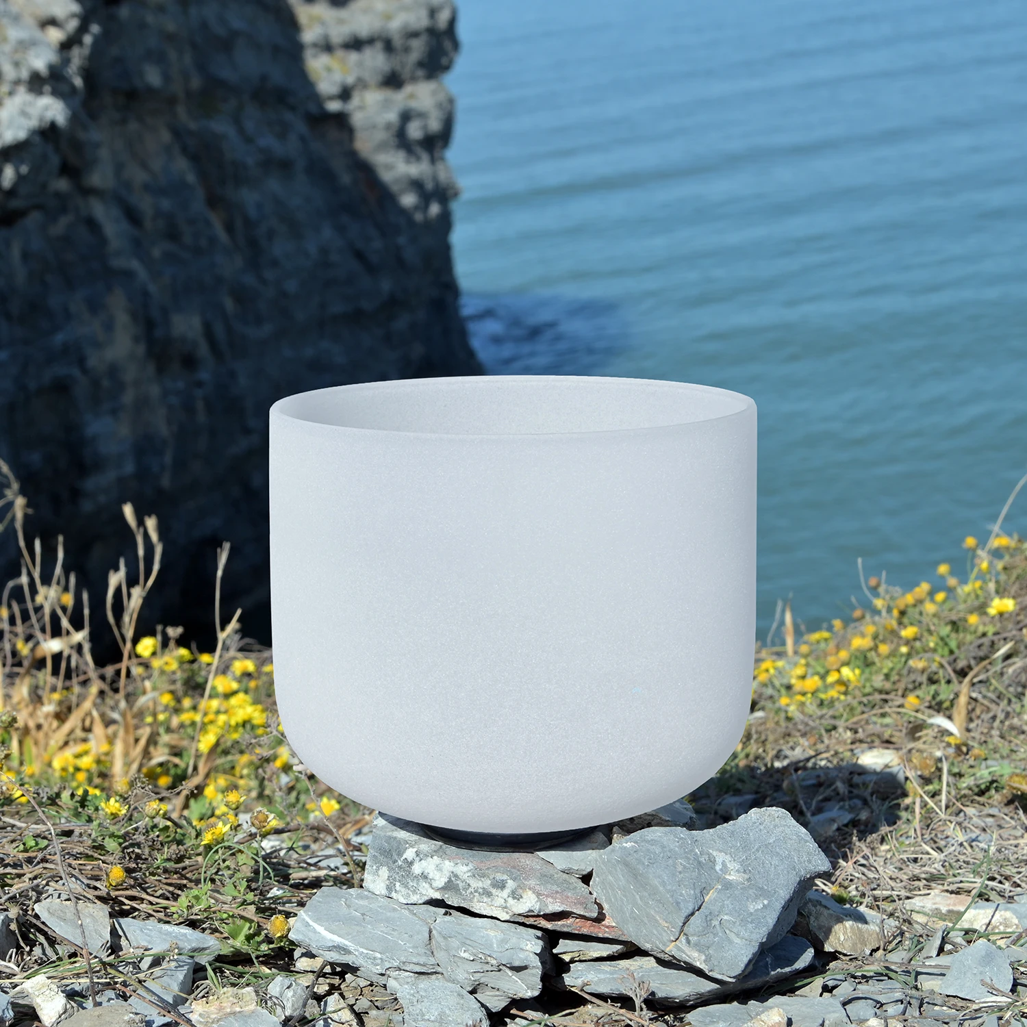 CVNC-9-Inch-Chakra-Tuned-White-Crystal-Singing-Bowl-Frosted-Quartz ...