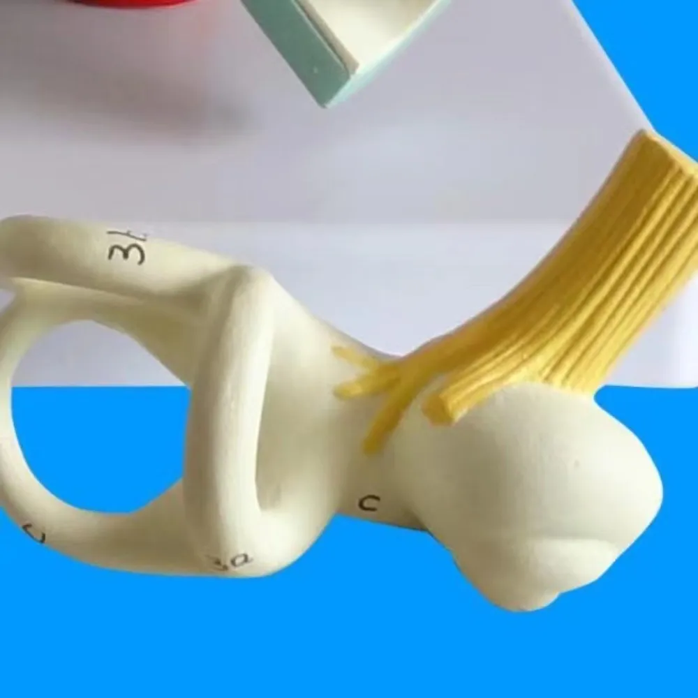 Página inicial da loja Produtos Avaliação