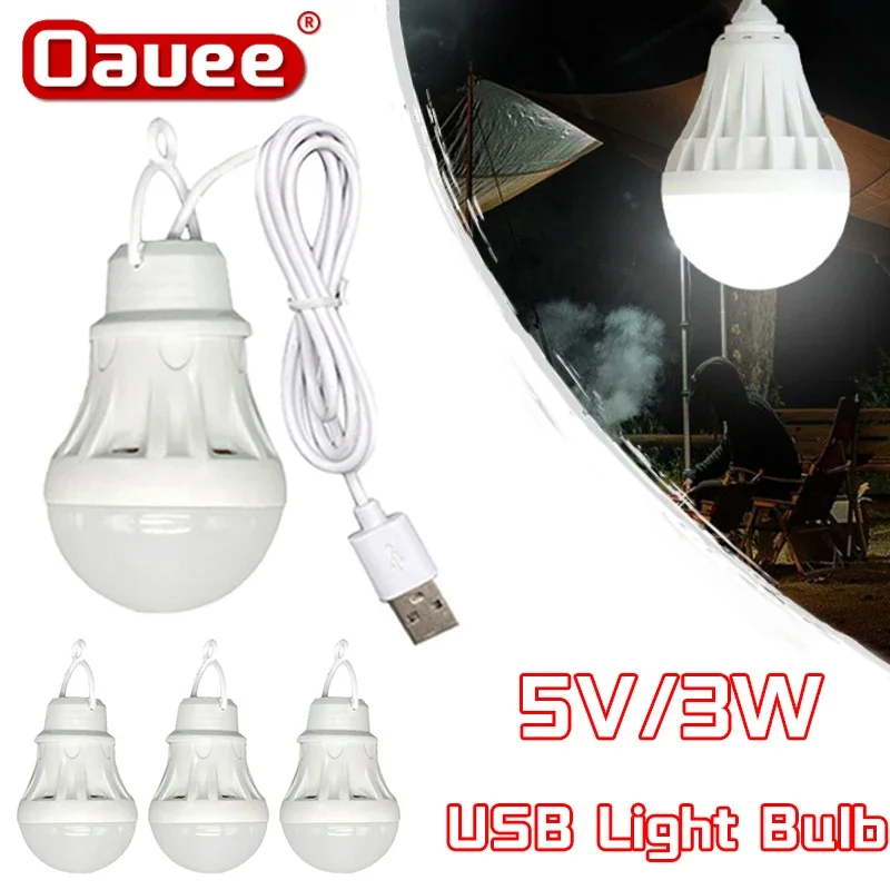 USB-Light-Bulb-LED-Portable-Camping-Light-Mini-Light-Bulb-5V-Power-Book ...