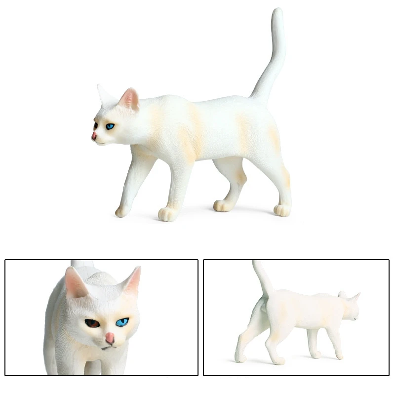 Simulated-heterochromatic-white-cat-model-Odd-eyed-cats-desktop ...