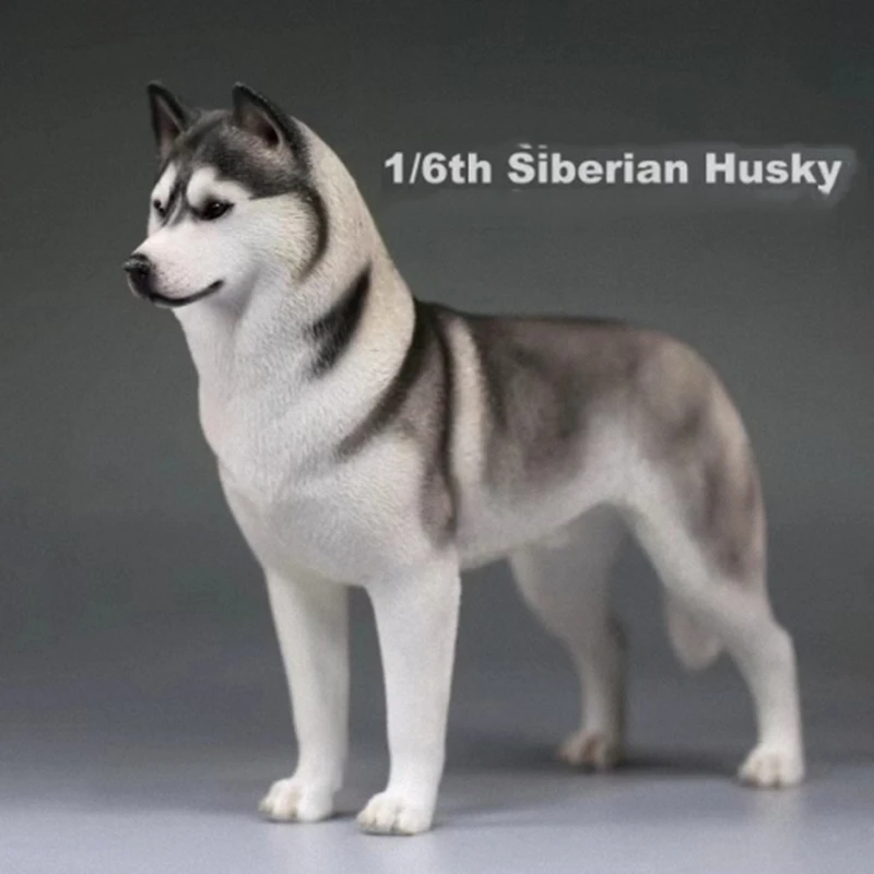 18cm-1-6-Scale-Simulation-animal-Siberian-Husky-Pet-dog-Model-Kids-Toys ...
