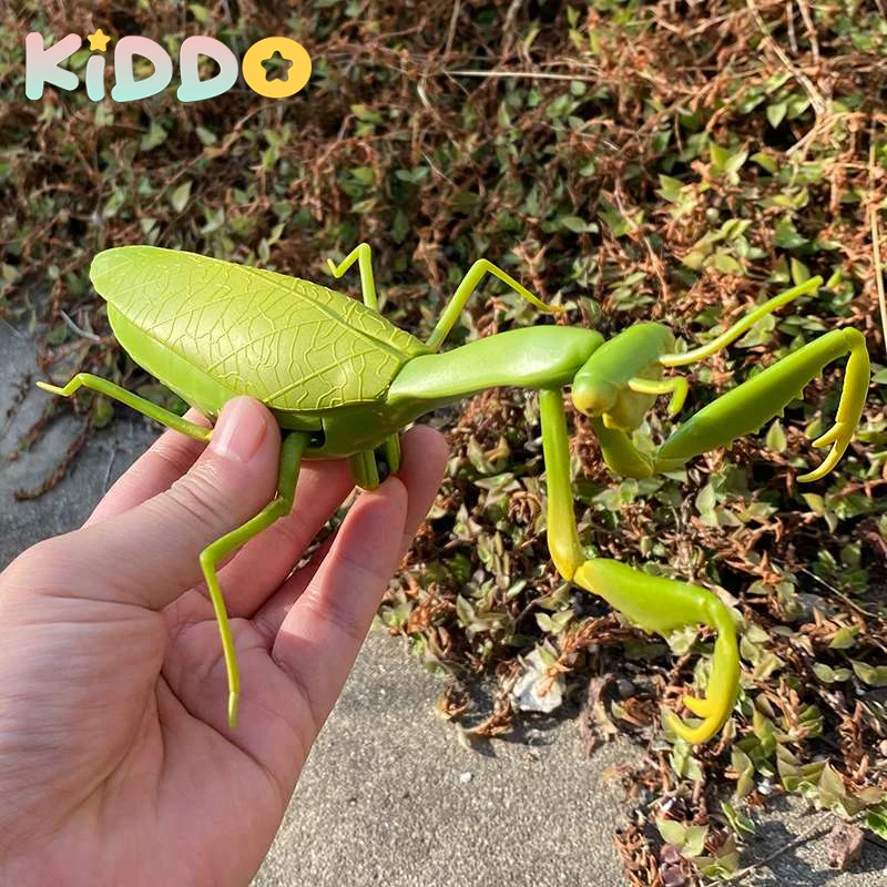 Infrared-Remote-Control-Cockroach-Simulation-Animal-Creepy-Spider-Bug ...