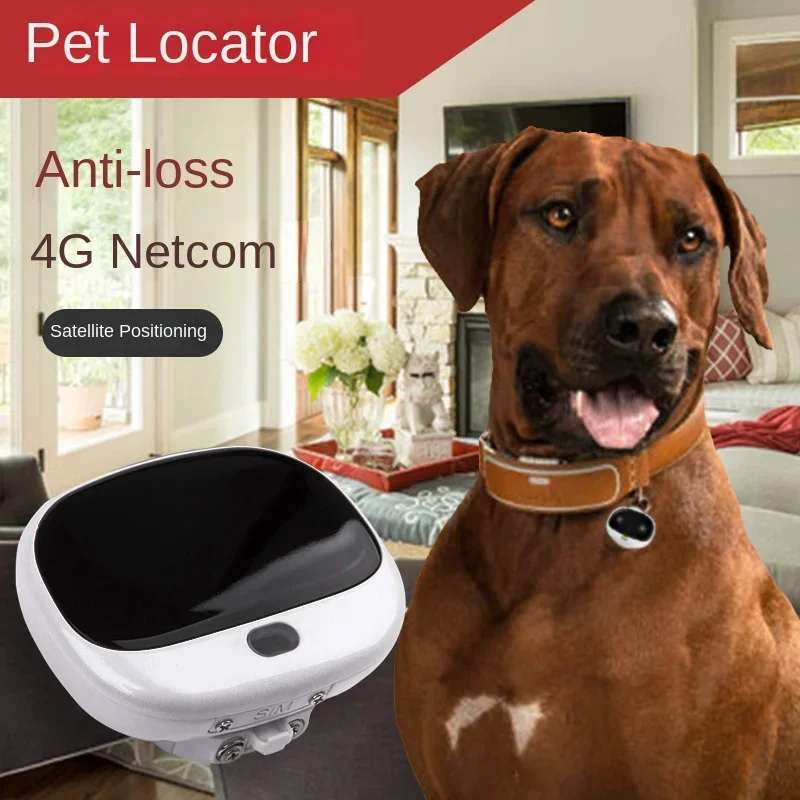 4G-GPS-Trackers-Dog-locator-pet-gps-collar-dog-anti-lost-tracking ...