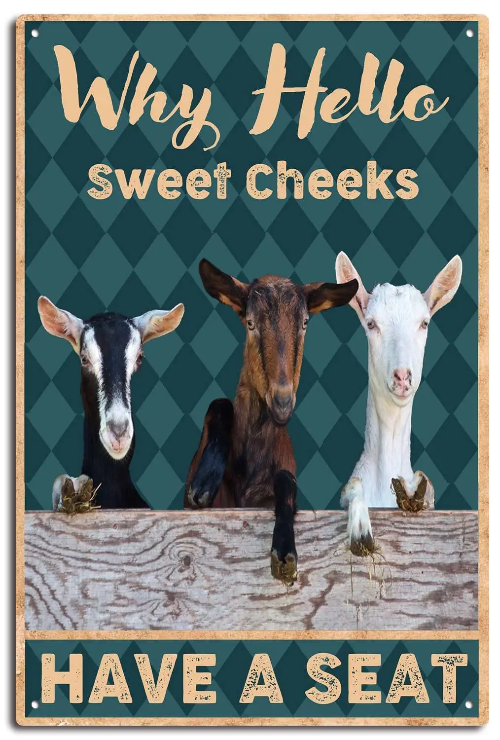 Store Home Products Feedback