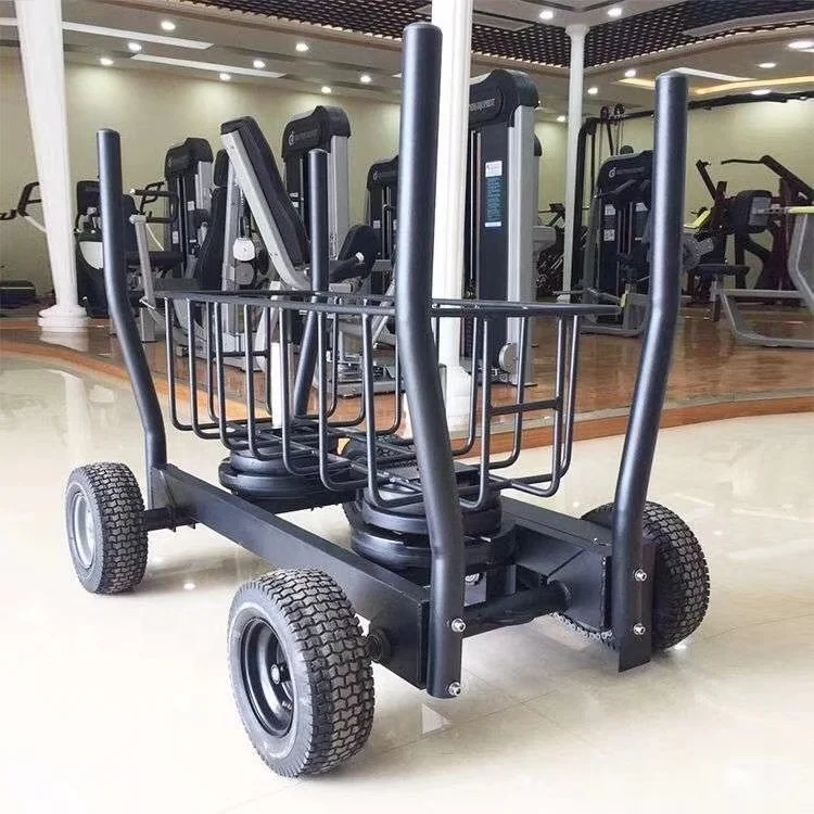 Commercial-Good-Quality-Gym-Equipment-Tank-Exercise-Push-Pull-Workout ...