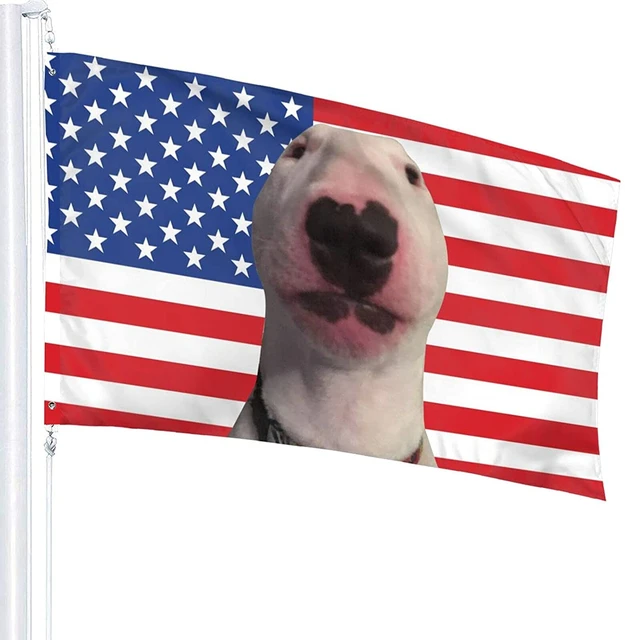 American Flag Meme