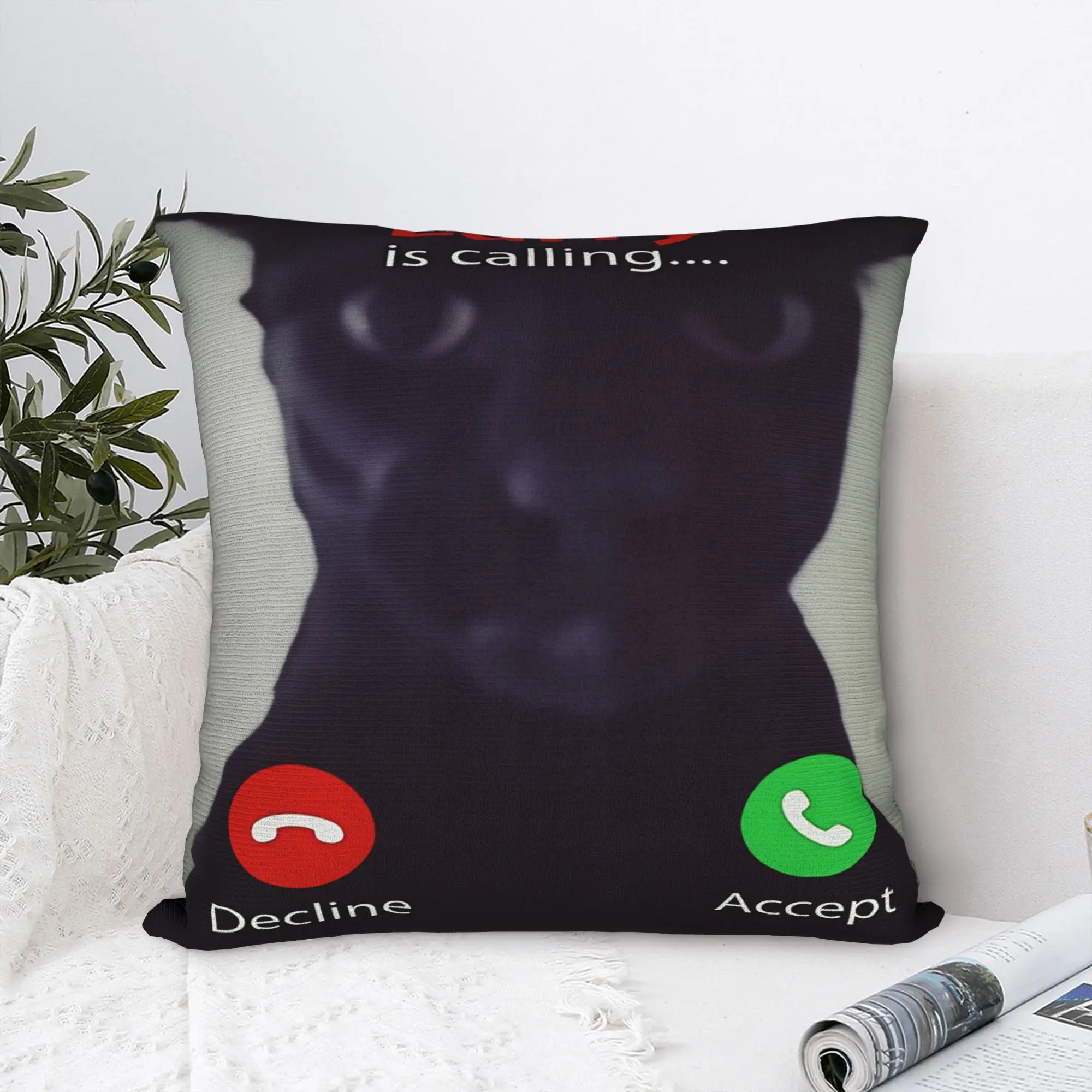 Evil Larry Cat Dank Brainrot Meme Pillowcases Morden Pillow Case For ...