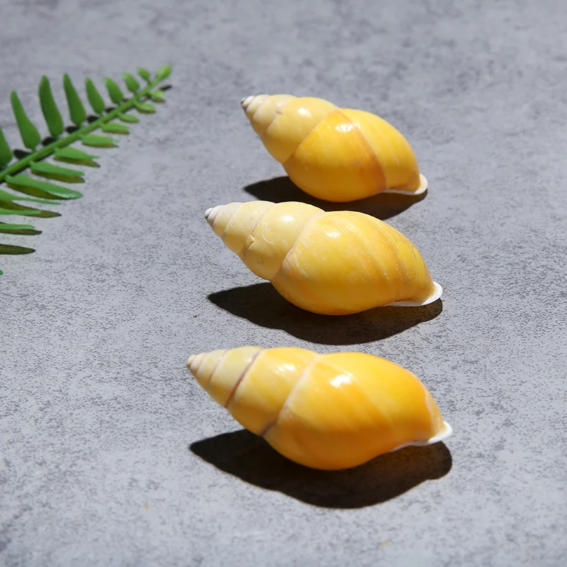 1PC-Small-Yellow-Snail-3-7cm-Natural-Sea-Snail-Shell-Yellow-Left-handed ...