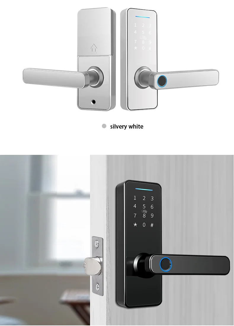 Tuya TTLock Electronic Smart Door Lock With Biometric Fingerprint/Smart ...