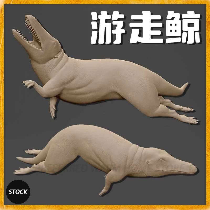 Ambulocetus Skeleton