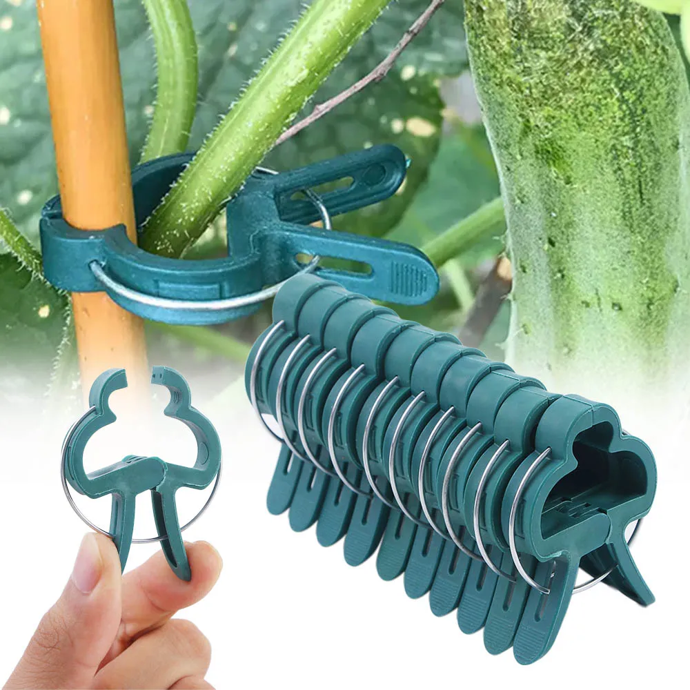 10pcs-Green-Garden-Plant-Fixed-Clips-for-Greenhous-Vegetables-Flowers ...